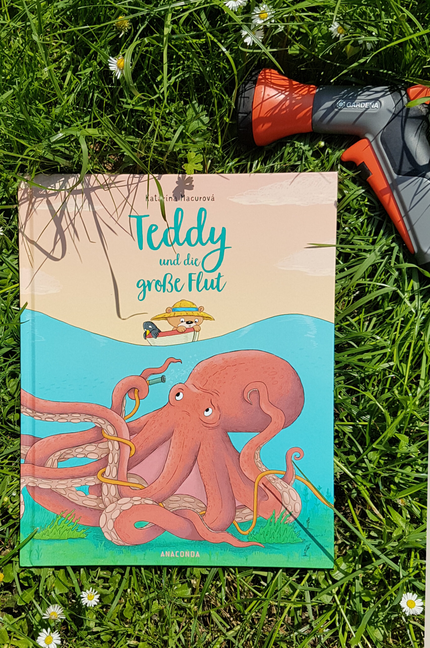 "Teddy und die große Flut" - Bilderbuch-Rezension auf SimoneD